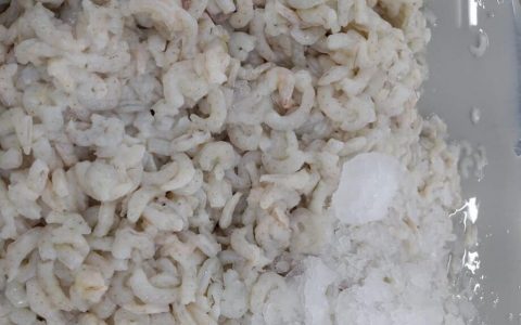 17 October, 2022. ECUADOR NEWS. BONI SEAFOD INC OFFER TITI SHRIMP ...