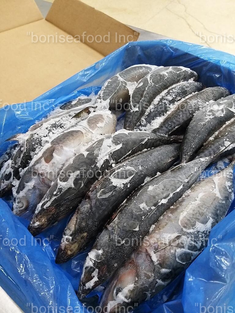 Blog | BONI SEAFOOD INC.