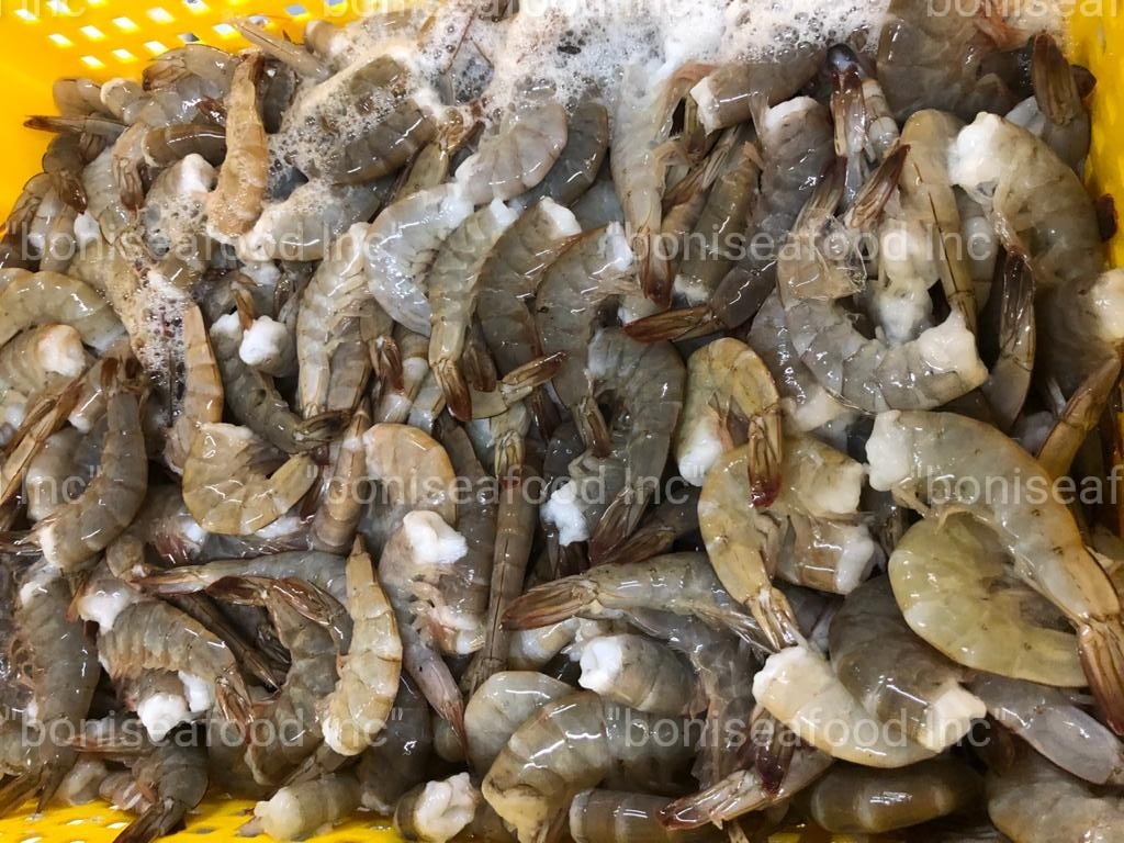 Blog | BONI SEAFOOD INC.