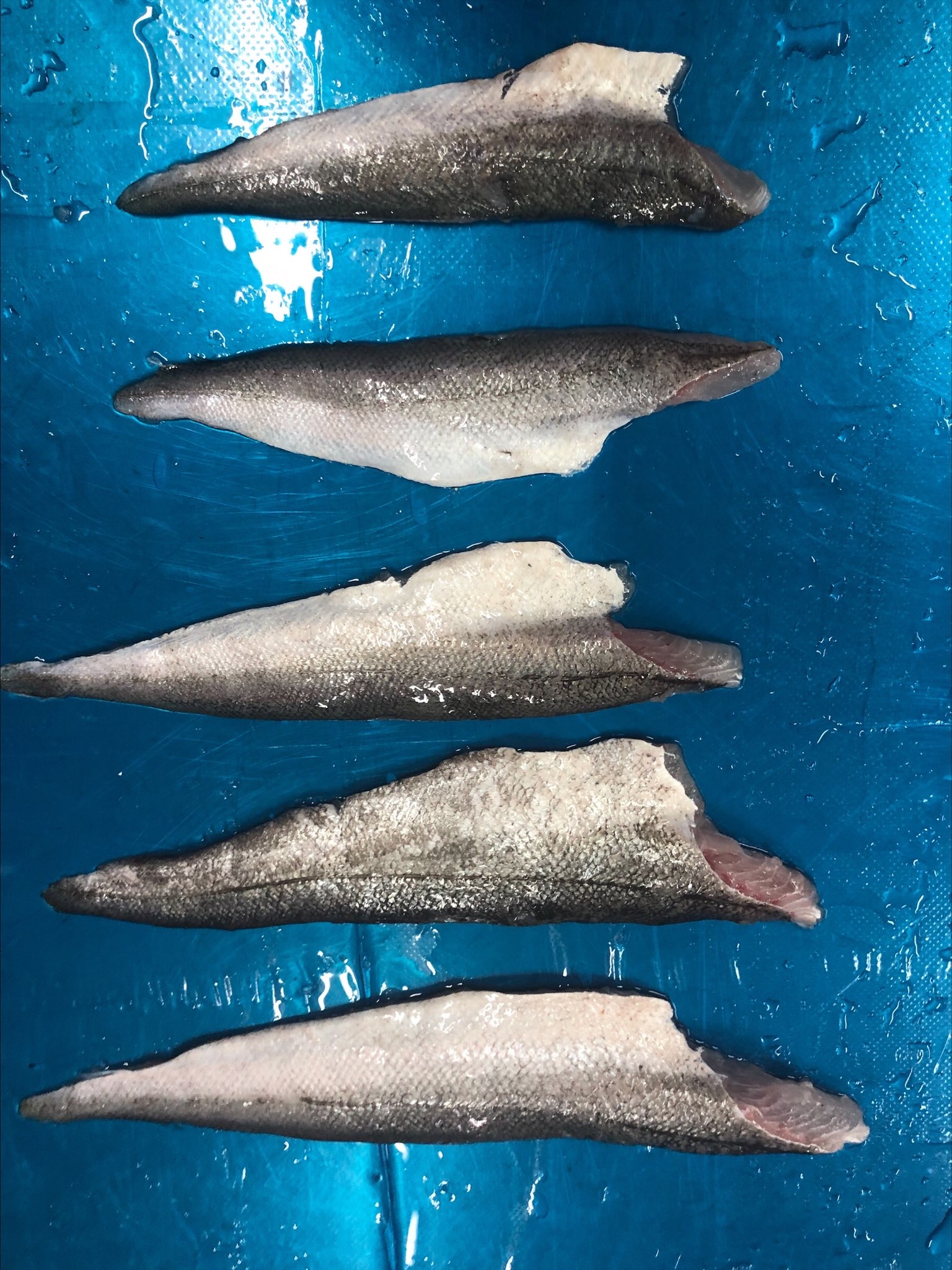 SP HAKE FILLET SKIN ON 050-100 GR_1 | BONI SEAFOOD INC.