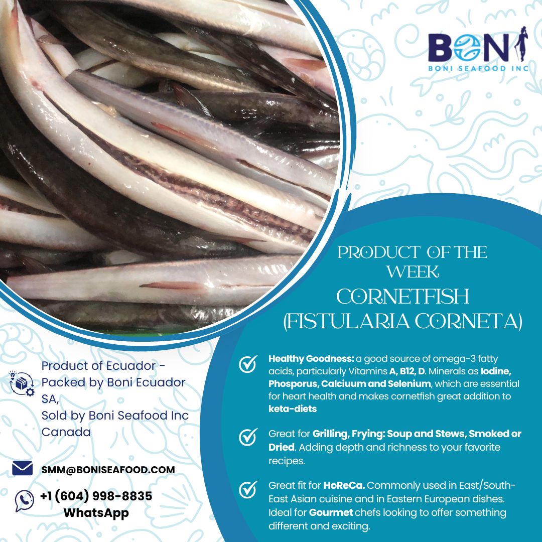 Product of the Week in the Spotlight - Cornetfish (Fistularia Corneta ...