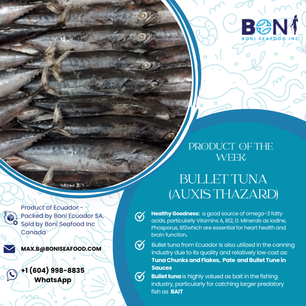 12 AUGUST, 2024 - Product of the Week: Bullet Tuna (Auxis Thazard ...