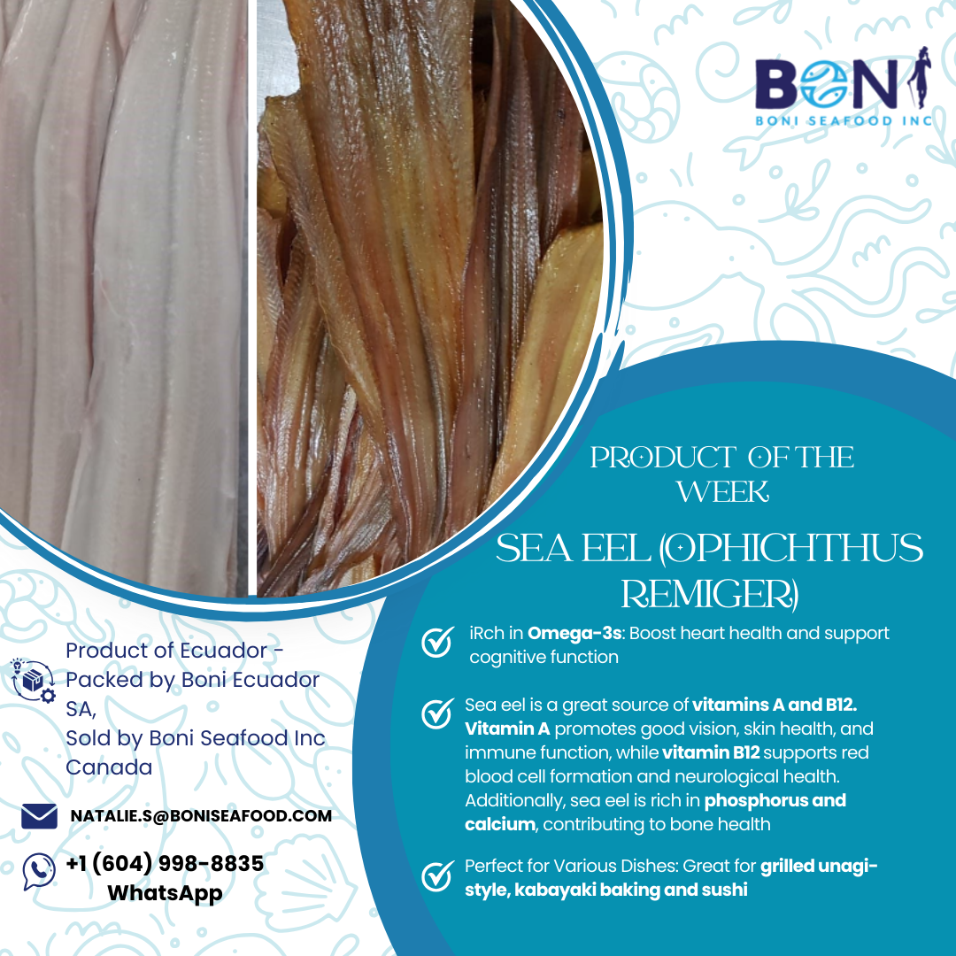 September 11, 2024 - Product of the Week : Fresh, Chemical-Free Sea Eel ...