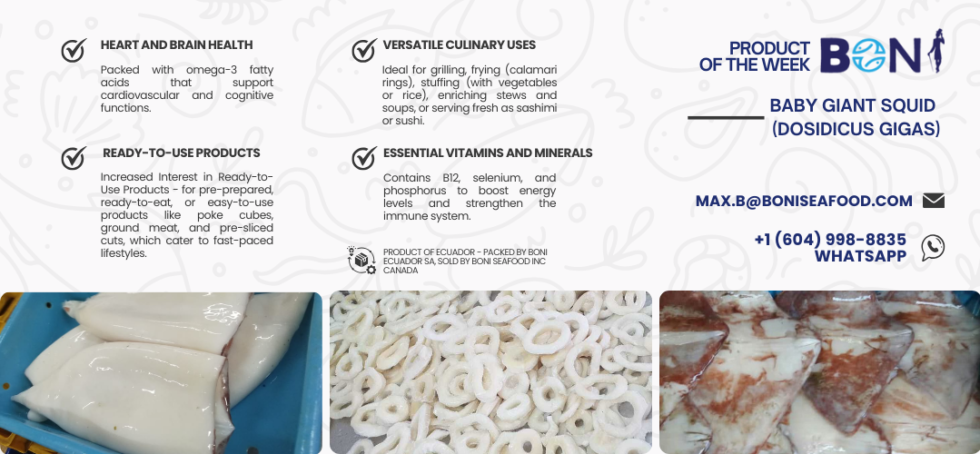 03 December, 2024 - Product of the Week - Baby Giant Squid (Dosidicus Gigas) - BONI SEAFOOD INC.